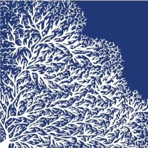 Miladia Invest | Holding Familial Et Investissement Marocain